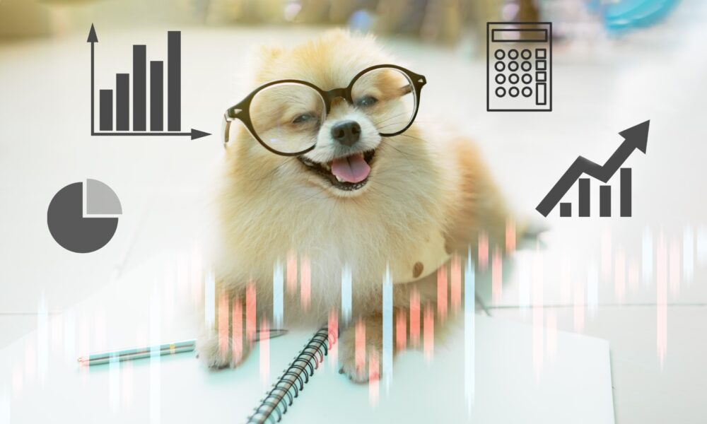 Mercado Pet no Brasil: crescimento, inovações e perspectivas para 2025 ...